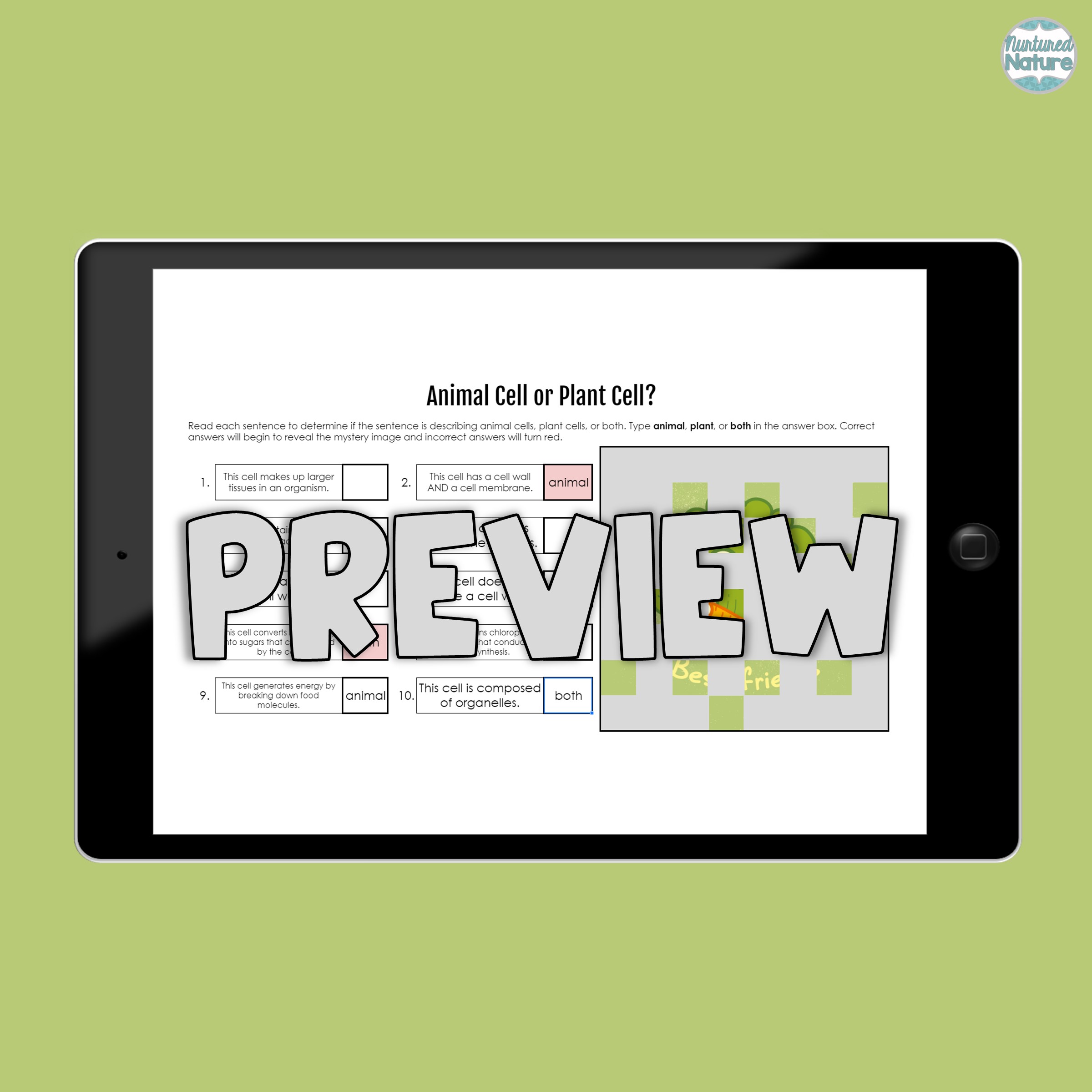 Animal or Plant Cell Pixel Art Puzzle 1 Google Activity | Made By Teachers