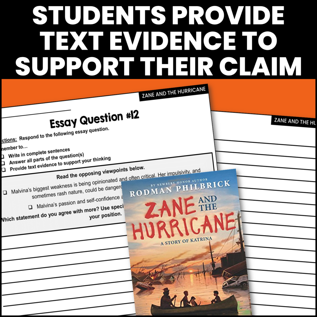 Zane and the Hurricane Novel Study Essay Questions and Prompts | Made ...