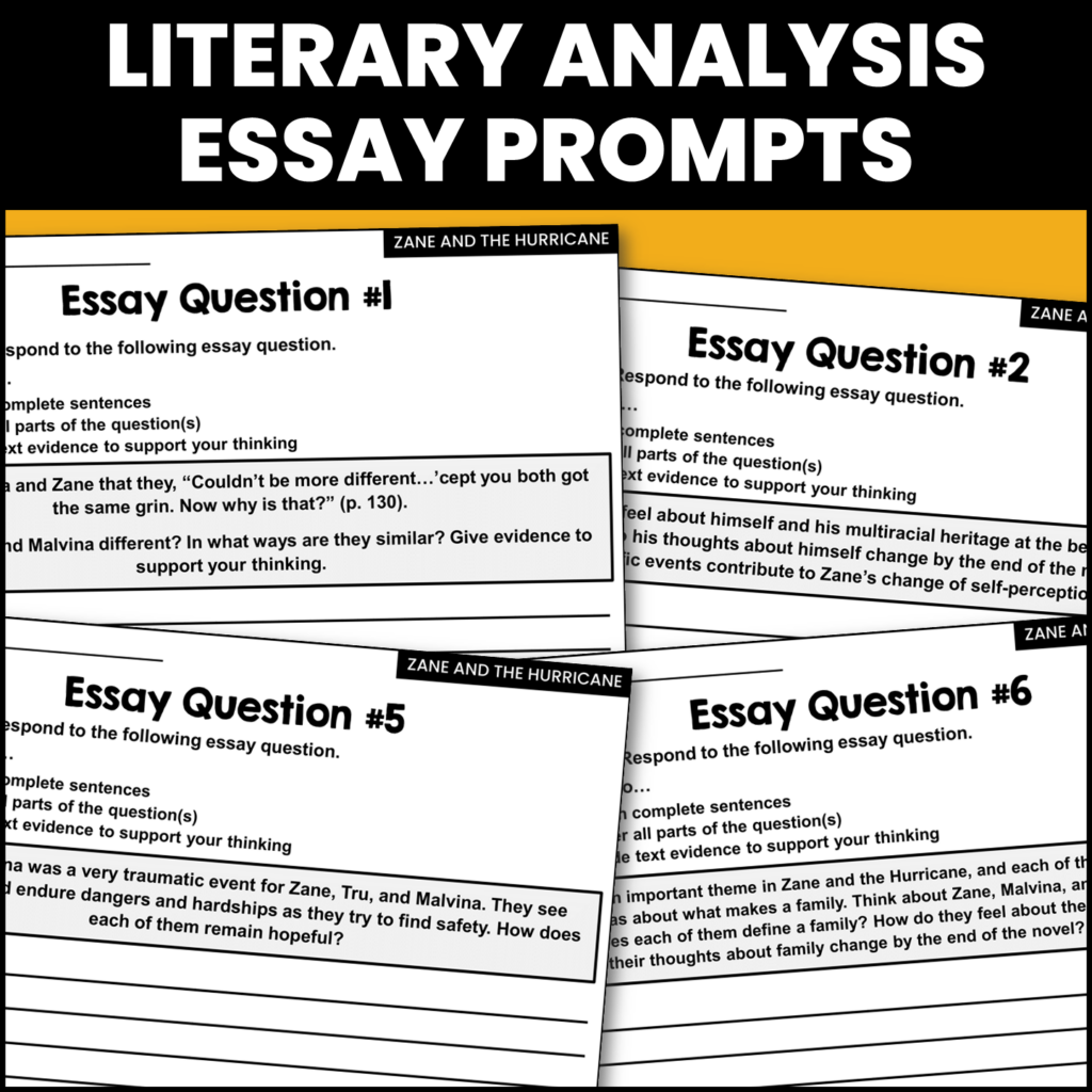 Zane and the Hurricane Novel Study Essay Questions and Prompts | Made ...