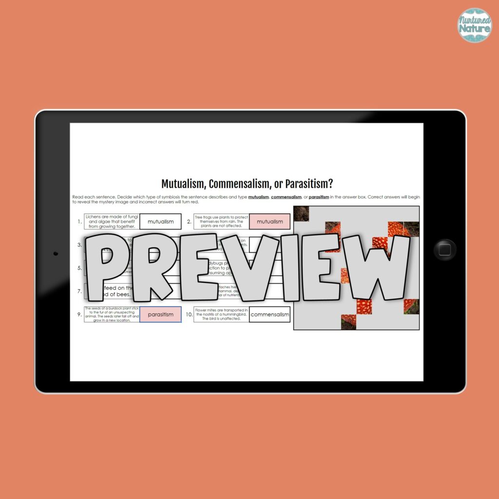 Symbiotic Relationships Digital Pixel Art Puzzle 2 Google Activity ...