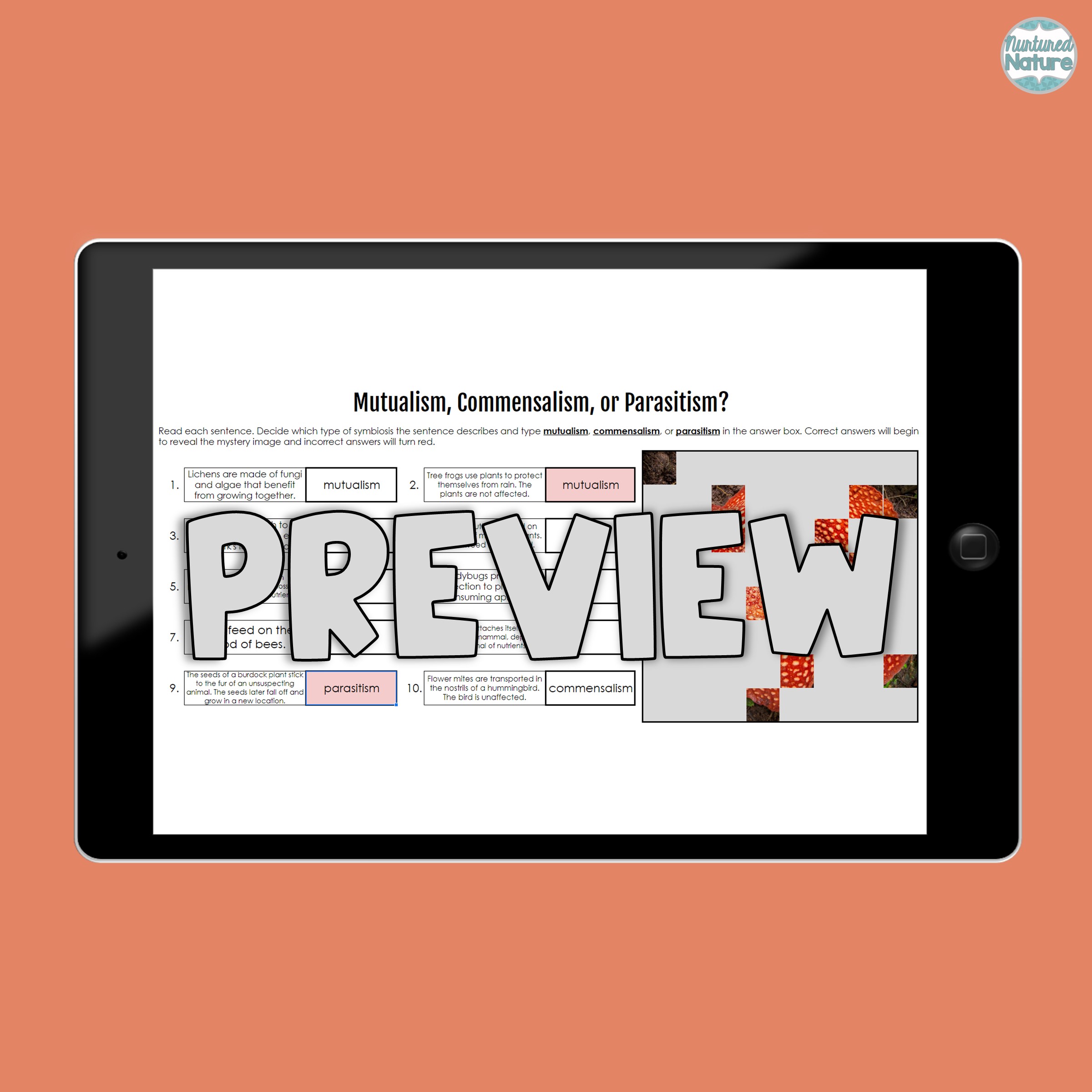 Symbiotic Relationships Digital Pixel Art Puzzle 2 Google Activity ...