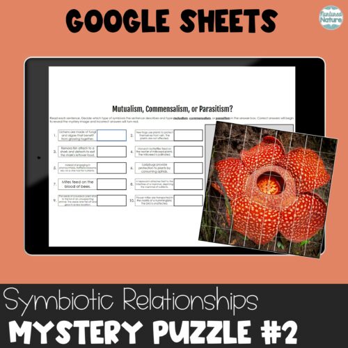 Symbiotic Relationships - Mutualism Commensalism Parasitism - Pixel Art ...