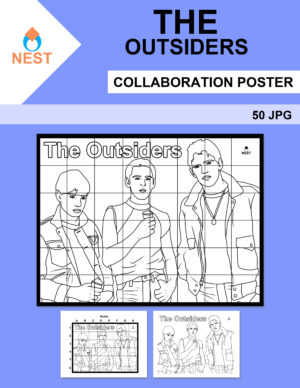 The Outsiders Novel Collaboration Poster | Made By Teachers