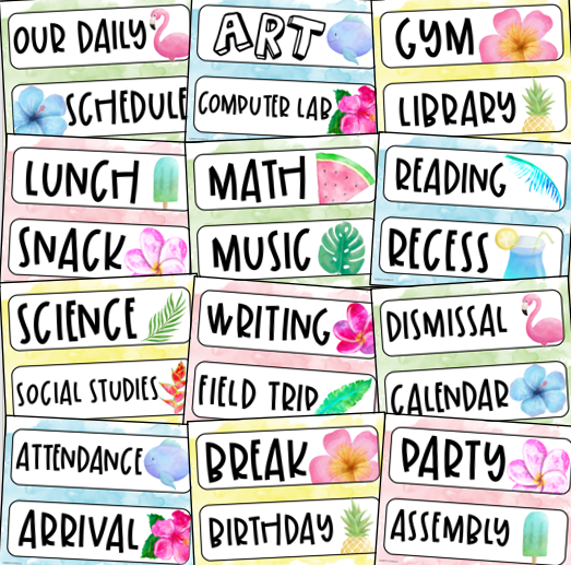 Daily Classroom Schedule Agenda Cards Watercolor Tropical Theme ...