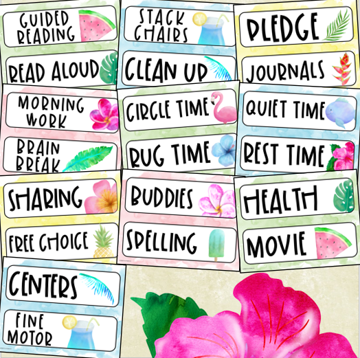 Daily Classroom Schedule Agenda Cards Watercolor Tropical Theme ...