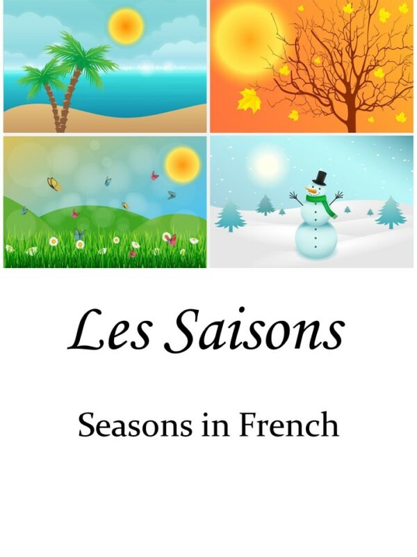 Seasons in French - Les Saisons - Made By Teachers