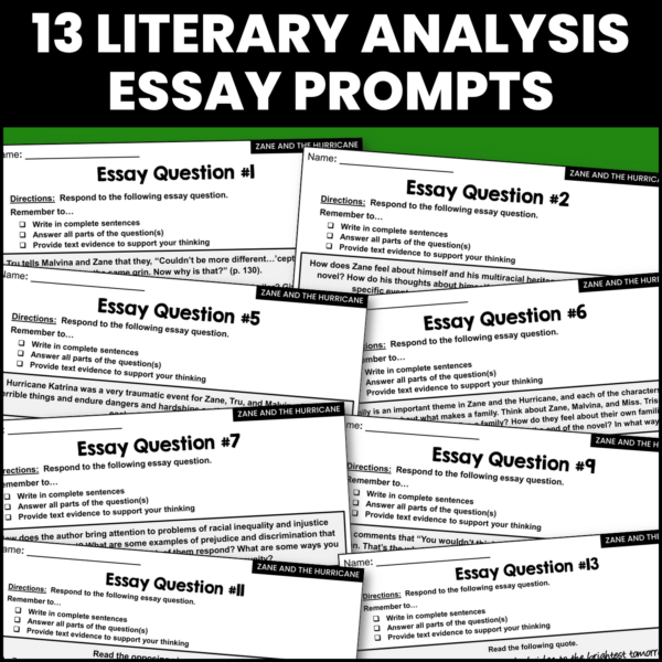 Zane and the Hurricane Novel Study MINI BUNDLE | Made By Teachers