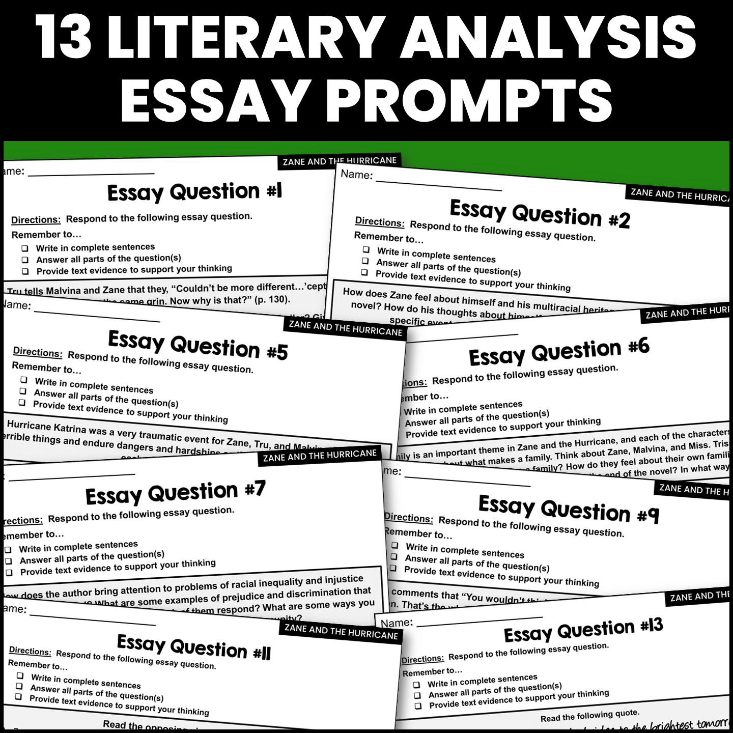 Zane and the Hurricane Novel Study MINI BUNDLE | Made By Teachers