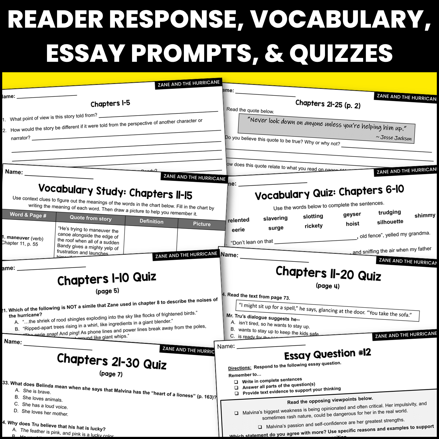 Zane and the Hurricane Novel Study Activities BUNDLE | Made By Teachers