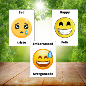 Bilingual Spanish/English Emotions Flashcards | Made By Teachers