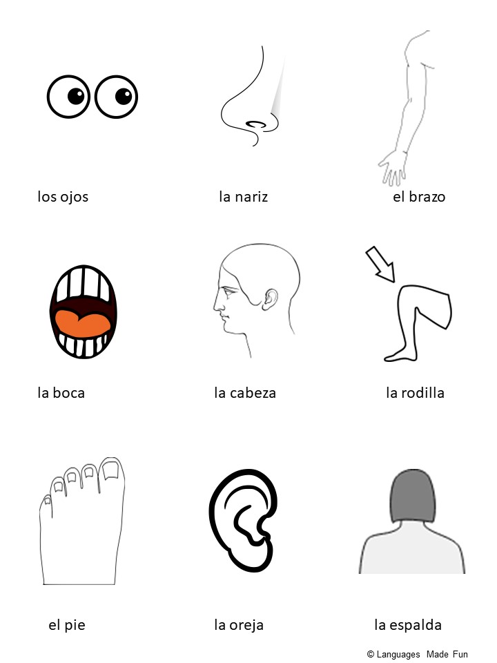 El Cuerpo Humano - Spanish Body Parts | Made By Teachers