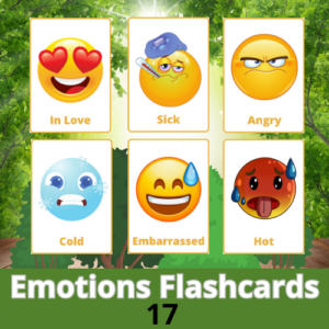 EMOTIONS Emoji Flashcards | Made By Teachers