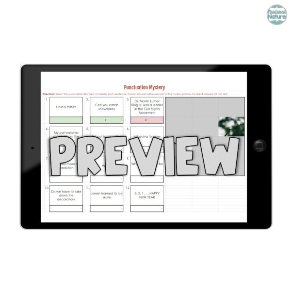 January Sentence Ending Punctuation Digital Pixel Art Mystery Puzzle ...