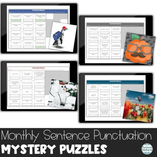 Full Year Sentence Ending Punctuation Digital Pixel Art Mystery Puzzle ...