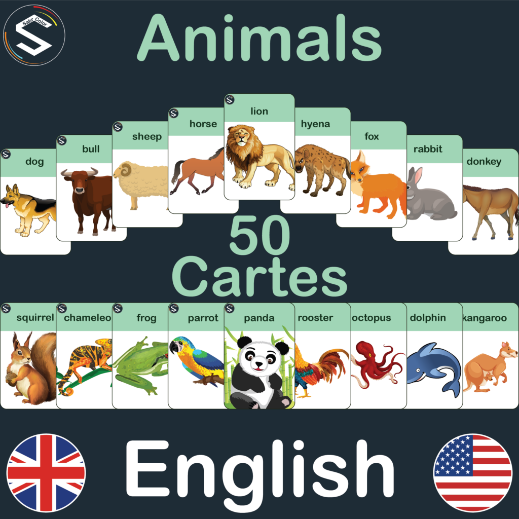 ENGLISH Animals vocabulary flashcards, With 50 Names And Images. (6x9cm ...