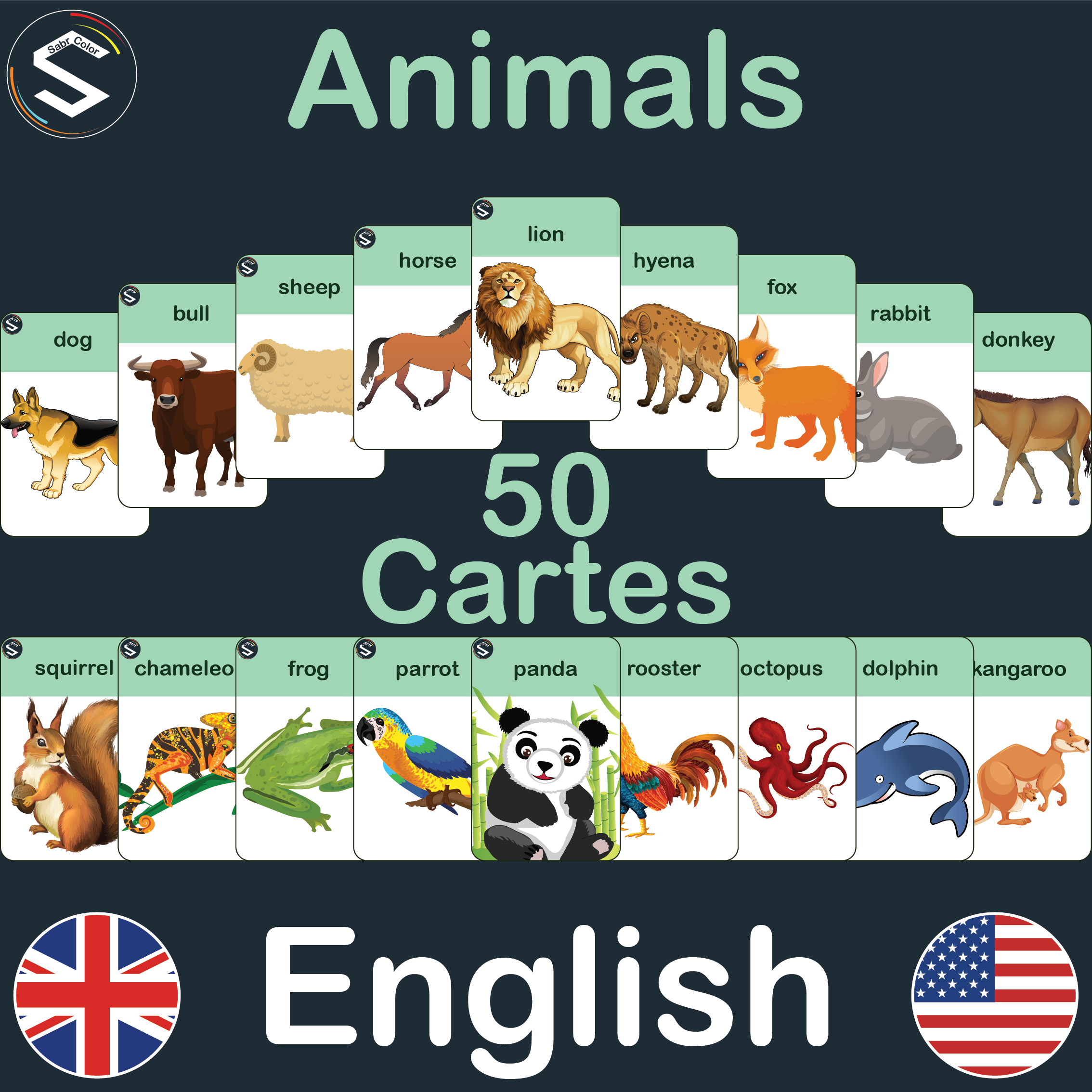 ENGLISH Animals vocabulary flashcards, With 50 Names And Images. (6x9cm ...