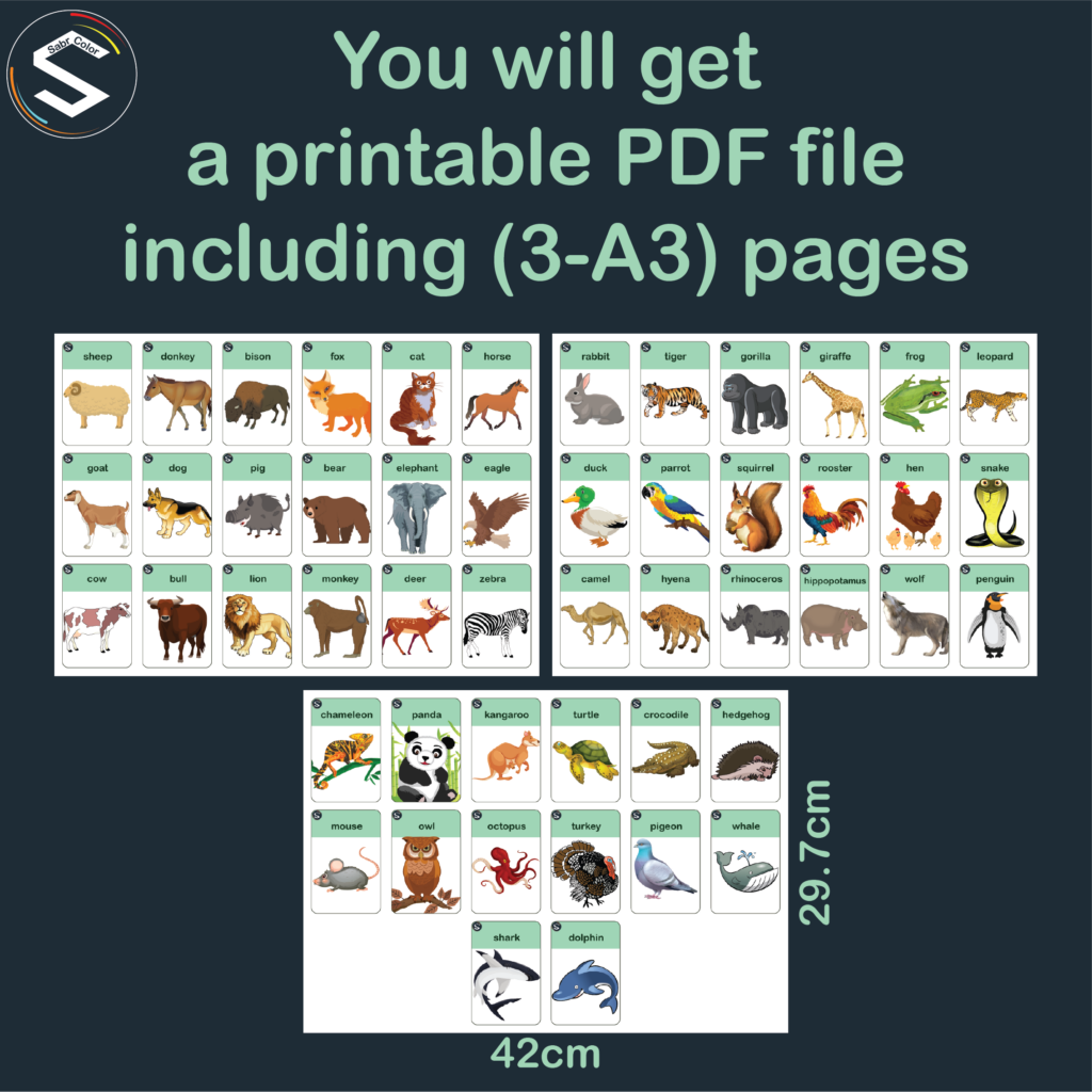 ENGLISH Animals vocabulary flashcards, With 50 Names And Images. (6x9cm) | Made By Teachers