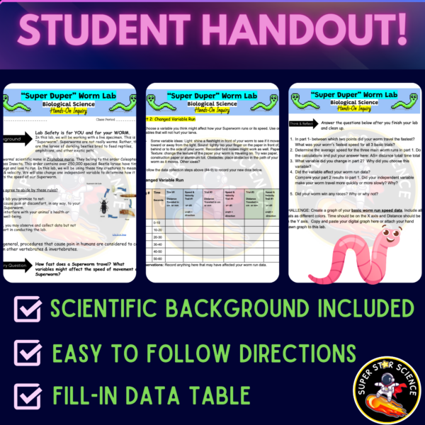 FUN Superworm Speed and Velocity Lab Middle School Physics & STEM ...