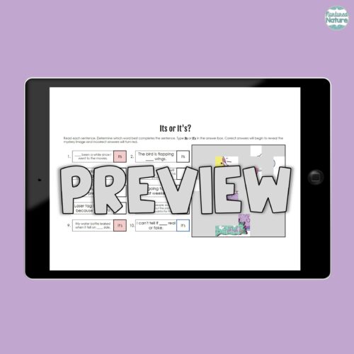 Its or It's Digital Pixel Art Mystery Puzzle 2 - Commonly Confused ...