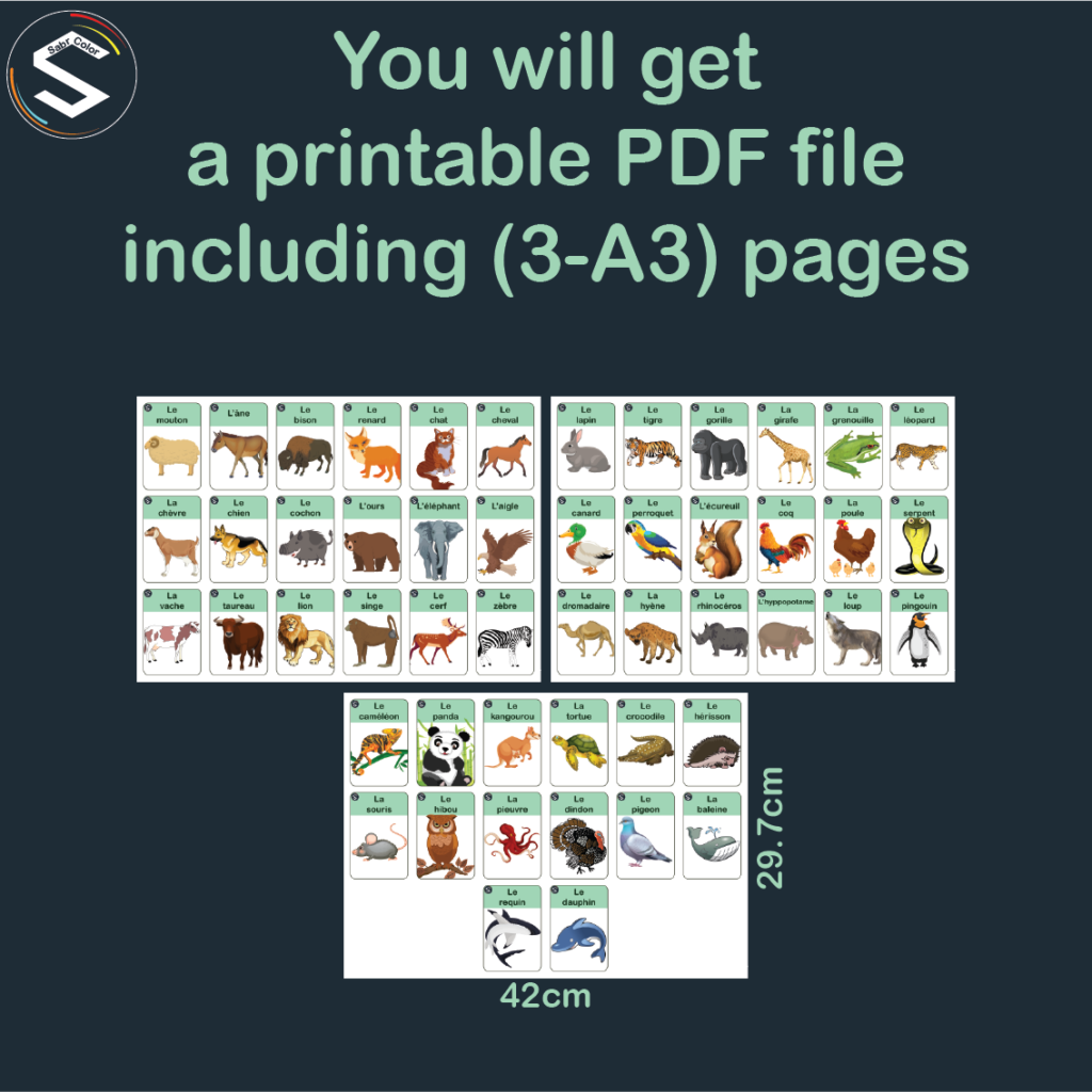 FRENCH Animals Vocabulary Flash Cards, (LES ANIMAUX) With 50 names and ...