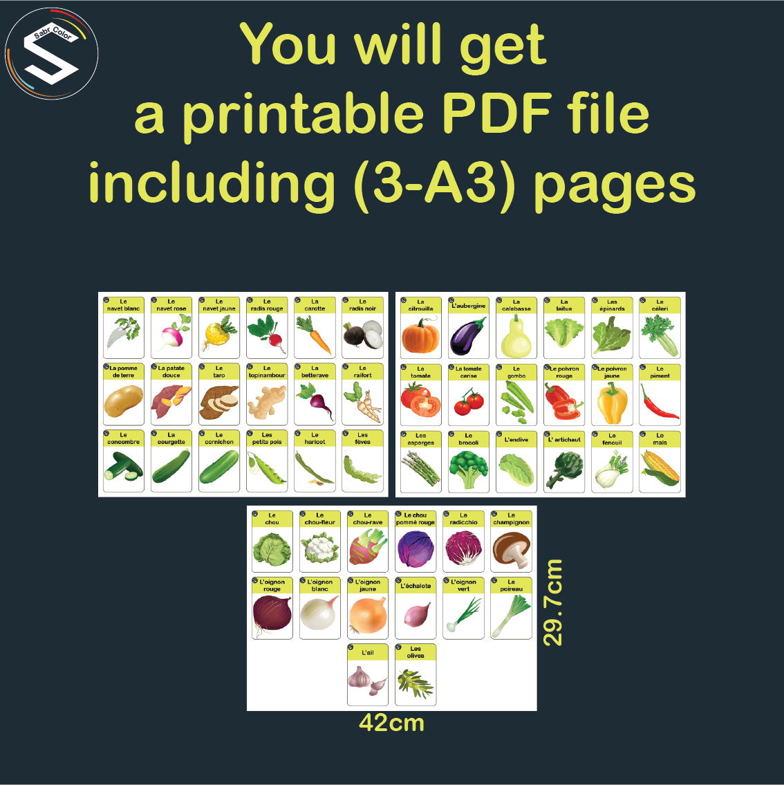 FRENCH Vegetables Vocabulary list flashcards | Les Légumes (9x6cm ...