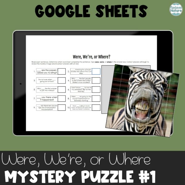 Where Were We're Digital Pixel Art Puzzle 1 - Commonly Confused ...