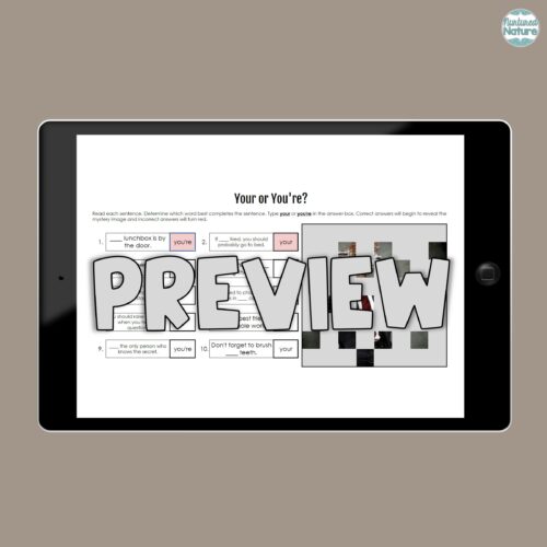 Your You're Digital Pixel Art Puzzle Bundle - Commonly Confused ...