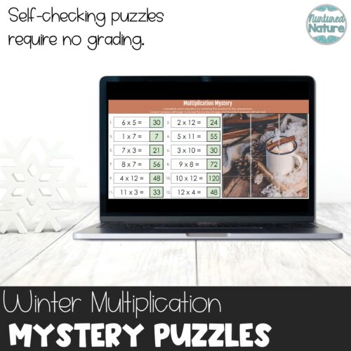 Winter Multiplication Facts Fluency 1-12 Pixel Art Puzzles | Made By ...