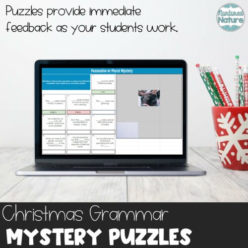 Christmas Grammar Pixel Art Puzzles Conjunctions Adjectives Plural ...
