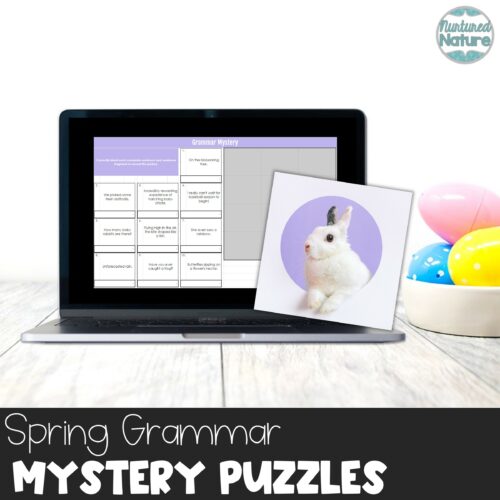 Easter Activities - Spring Grammar Puzzles - Homophones Prepositional ...