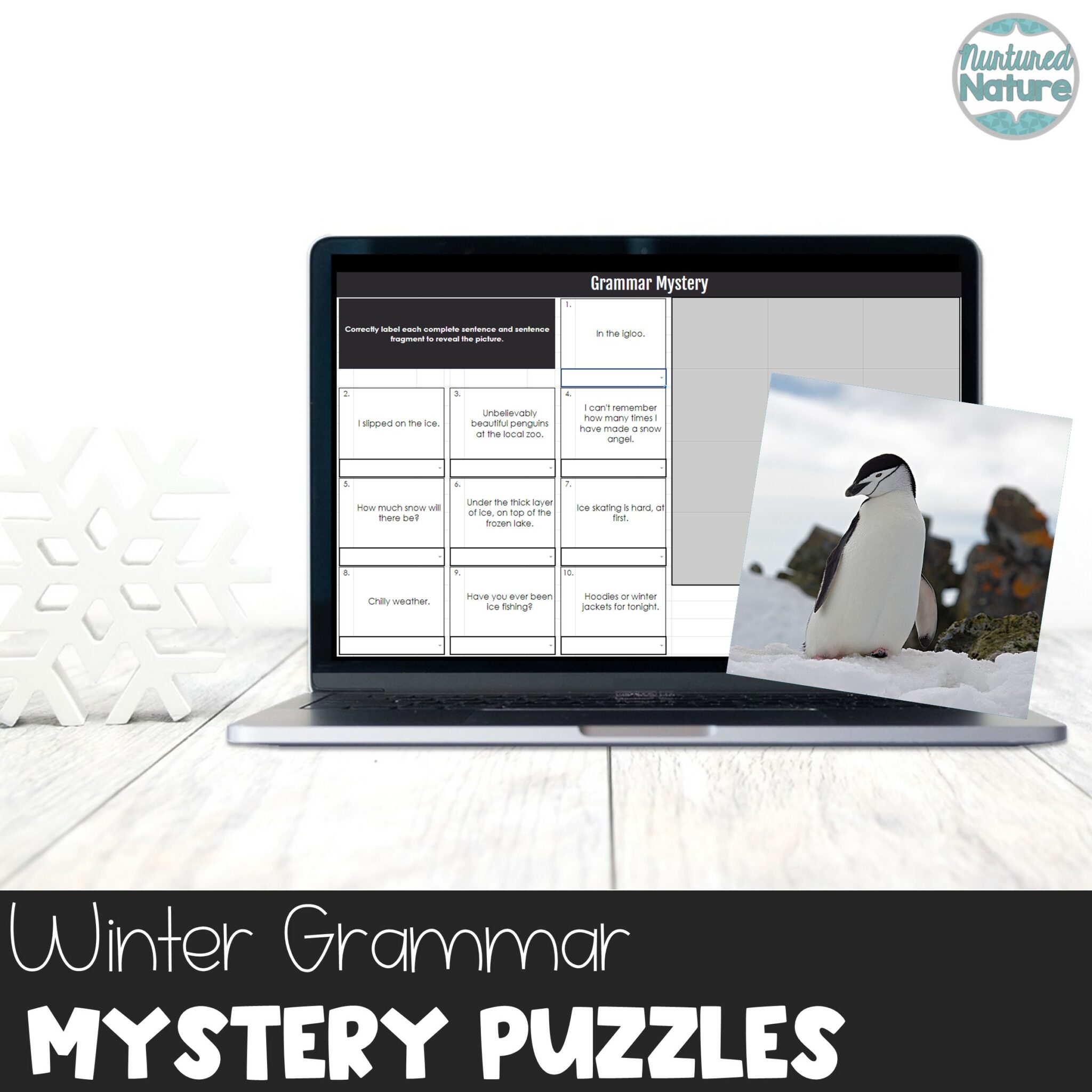 Winter Grammar Pixel Art Puzzles Conjunctions Plural Possessive ...