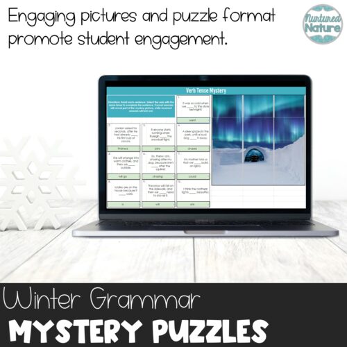 Winter Grammar Pixel Art Puzzles Conjunctions Plural Possessive ...