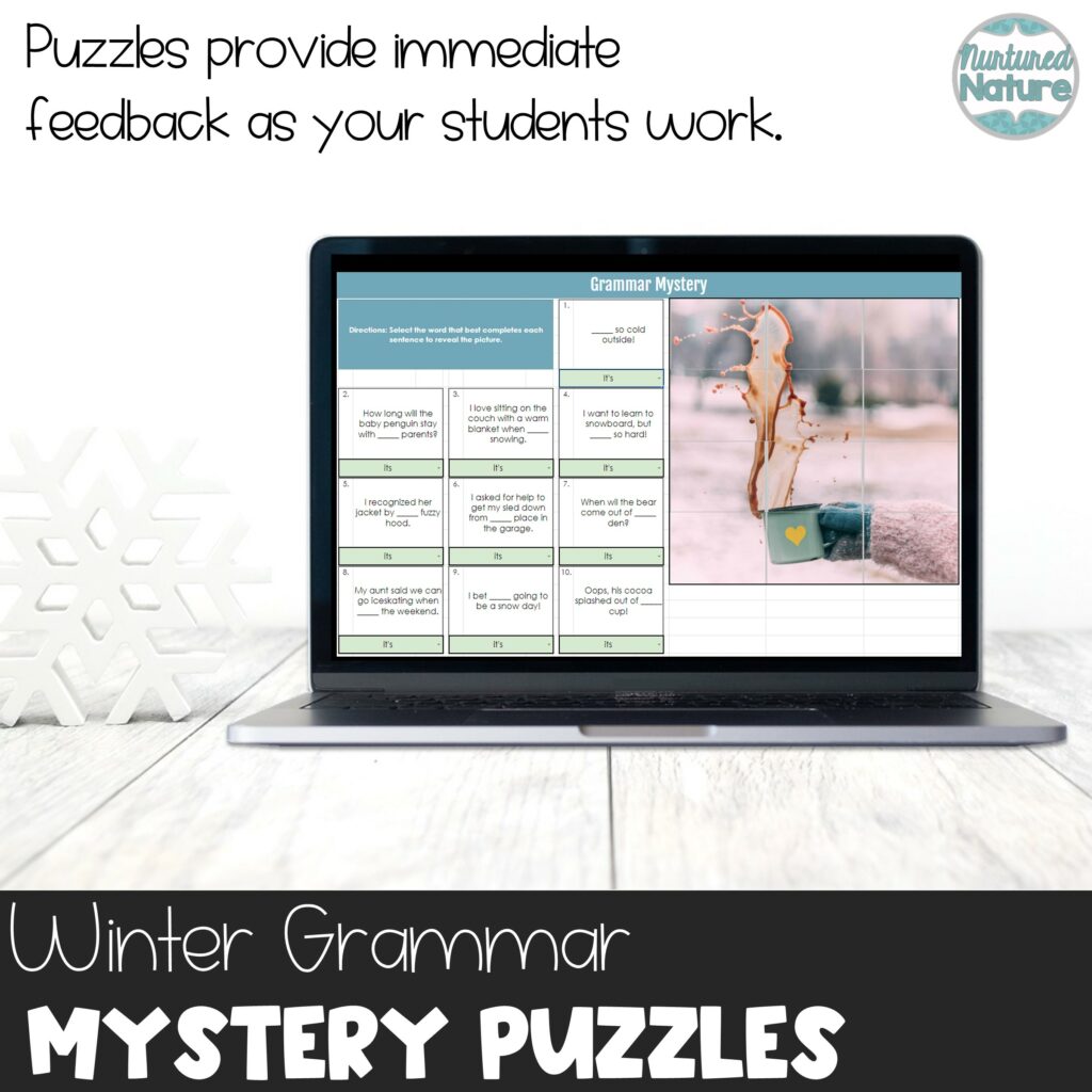 Winter Grammar Pixel Art Puzzles Conjunctions Plural Possessive ...