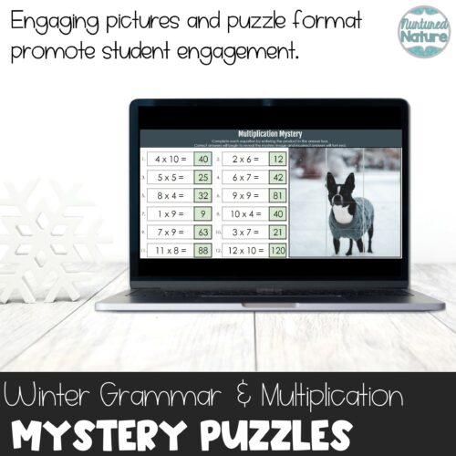 Winter Grammar and Multiplication Facts Fluency 1-12 Pixel Art Puzzles ...