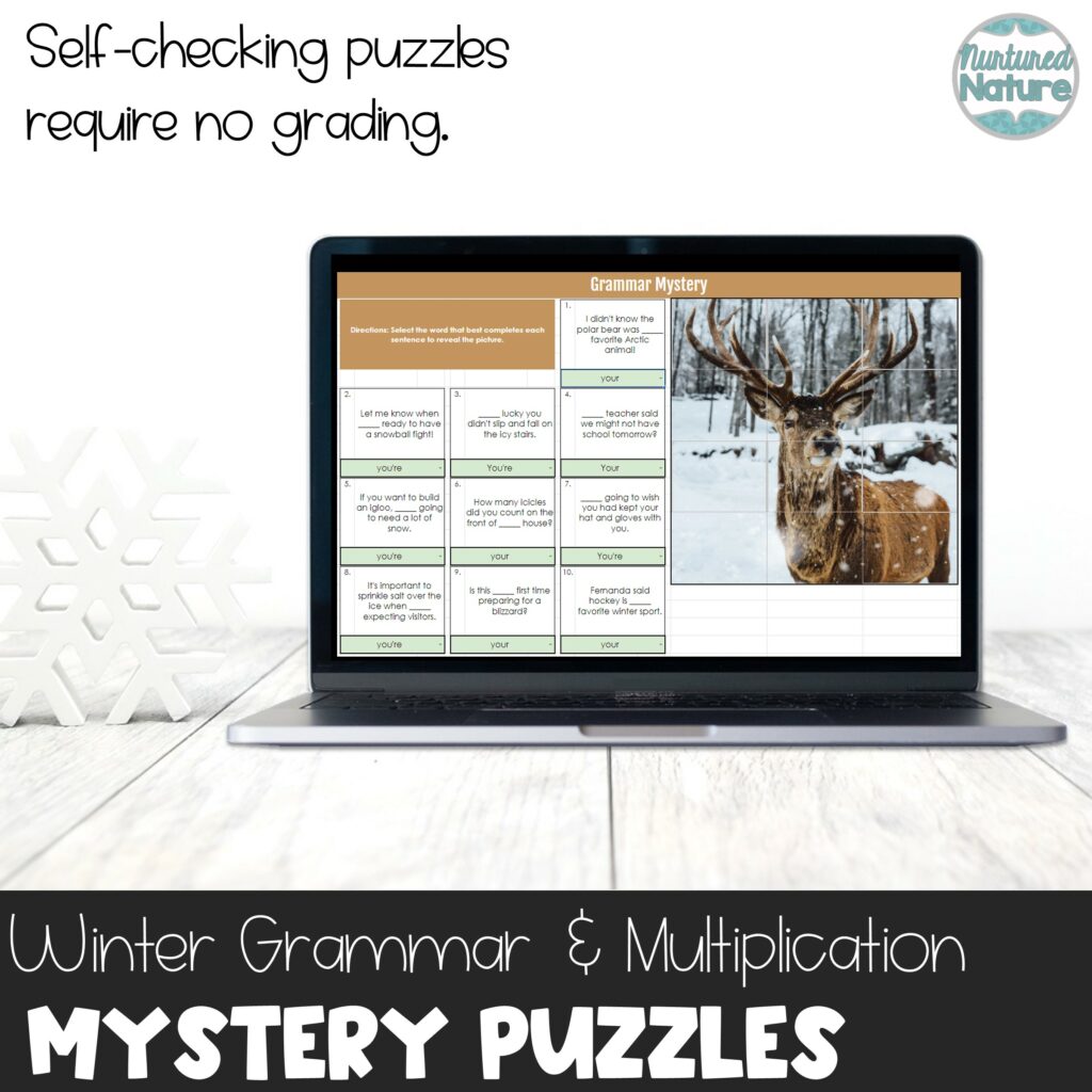 Winter Grammar and Multiplication Facts Fluency 1-12 Pixel Art Puzzles ...