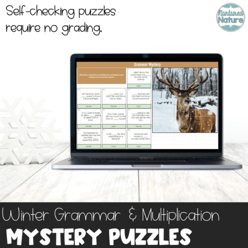 Winter Grammar and Multiplication Facts Fluency 1-12 Pixel Art Puzzles ...