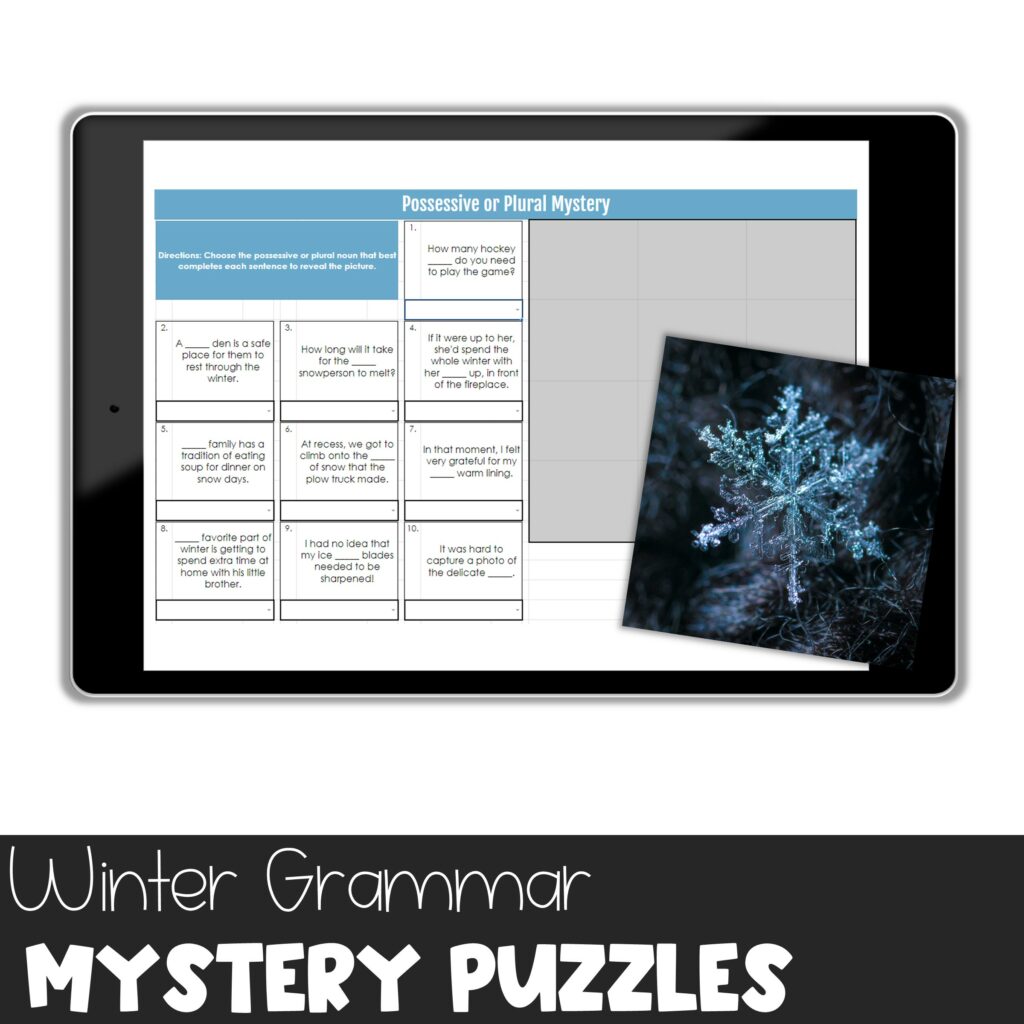 Winter Grammar and Multiplication Facts Fluency 1-12 Pixel Art Puzzles ...
