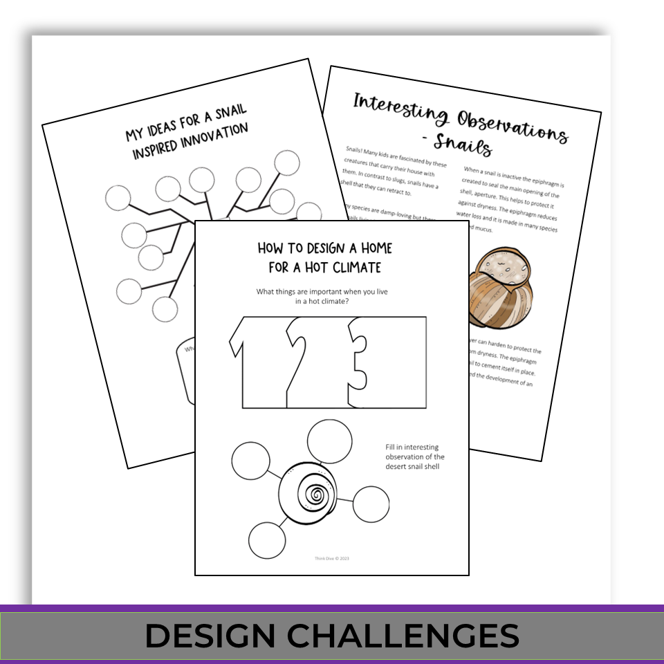 Biomimicry Cards Snails | Biomimicry Design Compatible with NGSS | Made ...