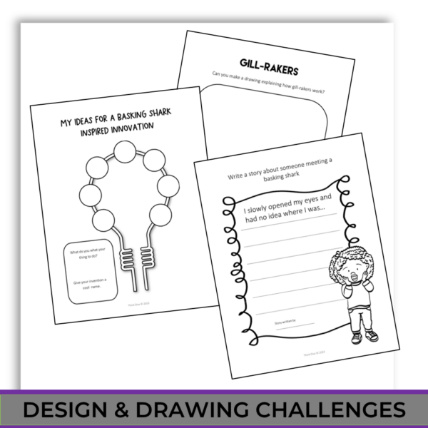 Animal Superpower Report Basking Shark | PBL STEAM Biomimicry Design ...