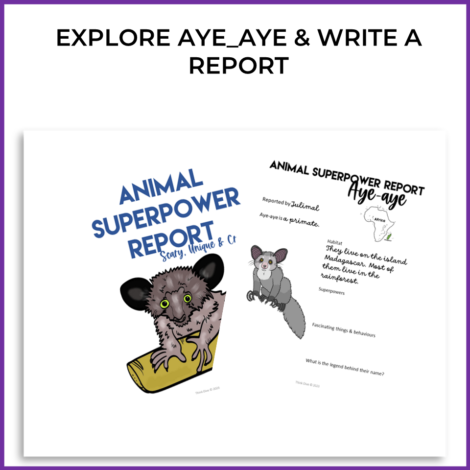 Animal Superpower Report Aye-Aye | PBL STEAM Biomimicry Design | Made ...