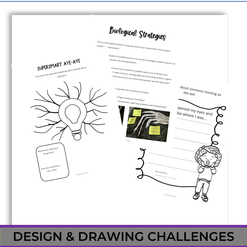 Animal Superpower Report Aye-Aye | PBL STEAM Biomimicry Design | Made ...