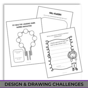 Shark Science Project Bundle | STEAM Life Cycle Oviparious Biomimicry ...