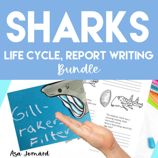 Shark Science Project Bundle | STEAM Life Cycle Oviparious Biomimicry ...
