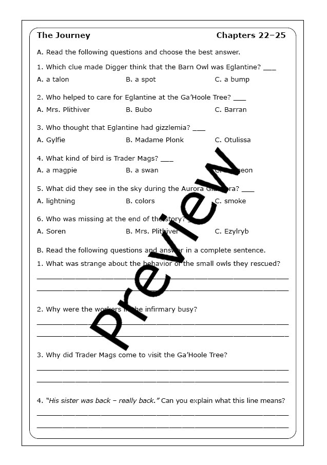 Kathryn Lasky "The Journey" worksheets | Made By Teachers