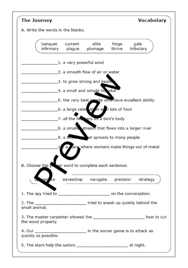 Kathryn Lasky "The Journey" worksheets | Made By Teachers