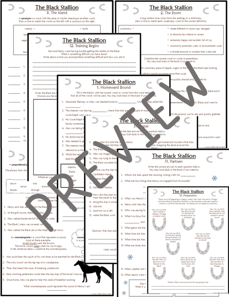 Fifth Grade Novel Studies Bundle | Made By Teachers