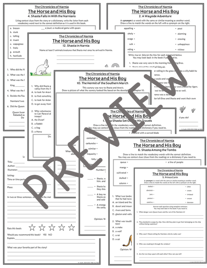 Sixth Grade Novel Study Bundle | Made By Teachers