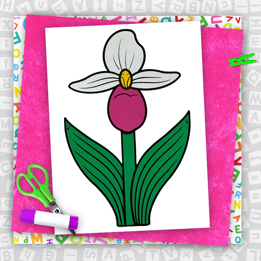 Lady's Slipper Flower Craft | Minnesota State Symbols | Summer Craft ...