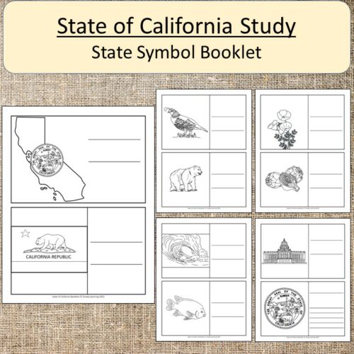 California State Booklet / Where I live Worksheet Homeschool ...