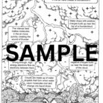 Weather Thunderstorm Graphic Organizer | Made By Teachers